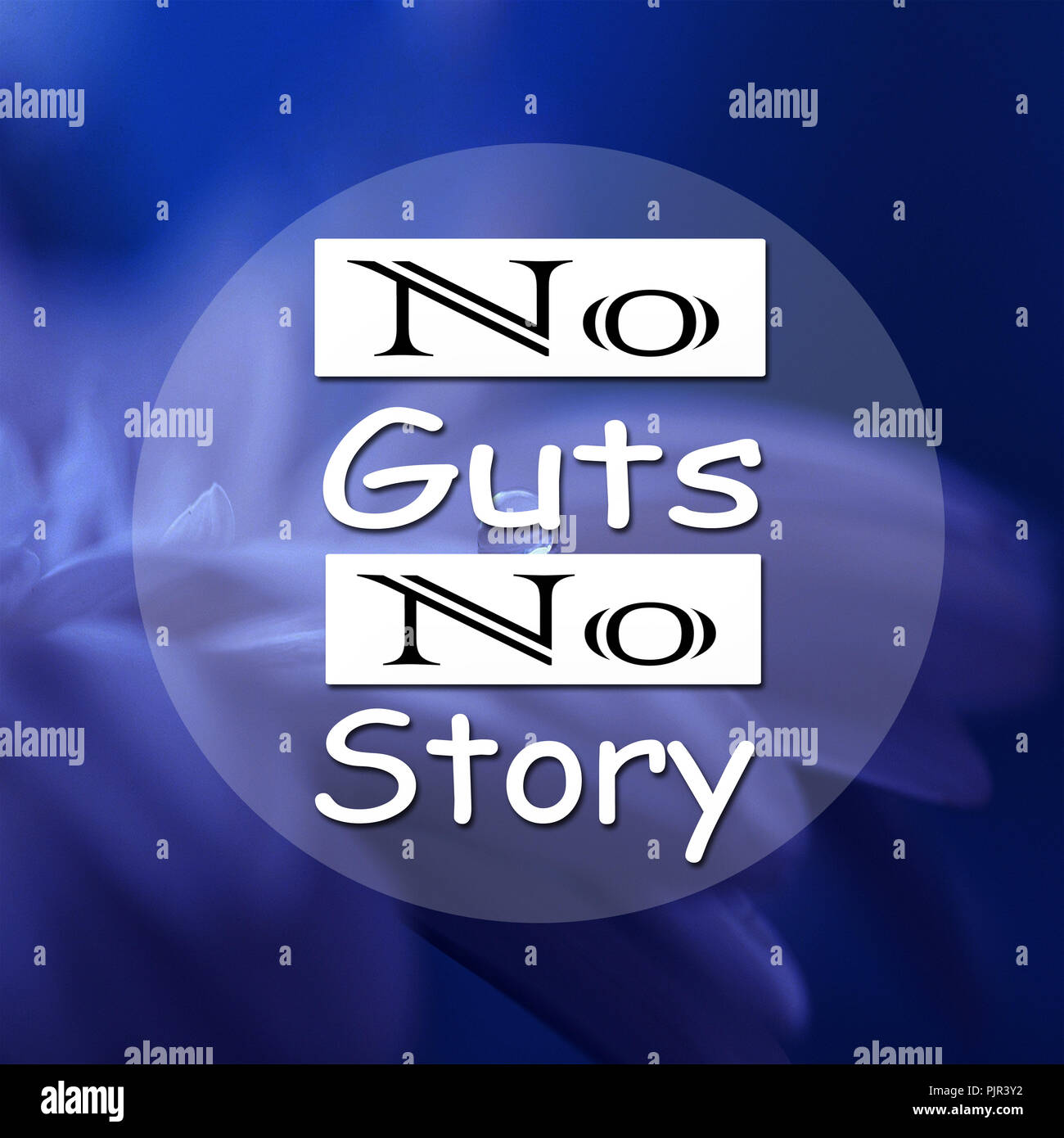 Inspirational Quote No guts no story positive, motivational Stock Photo ...