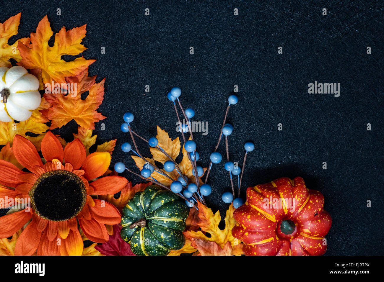 Beautiful fall autumn decorative scene and arrangement. Black ...