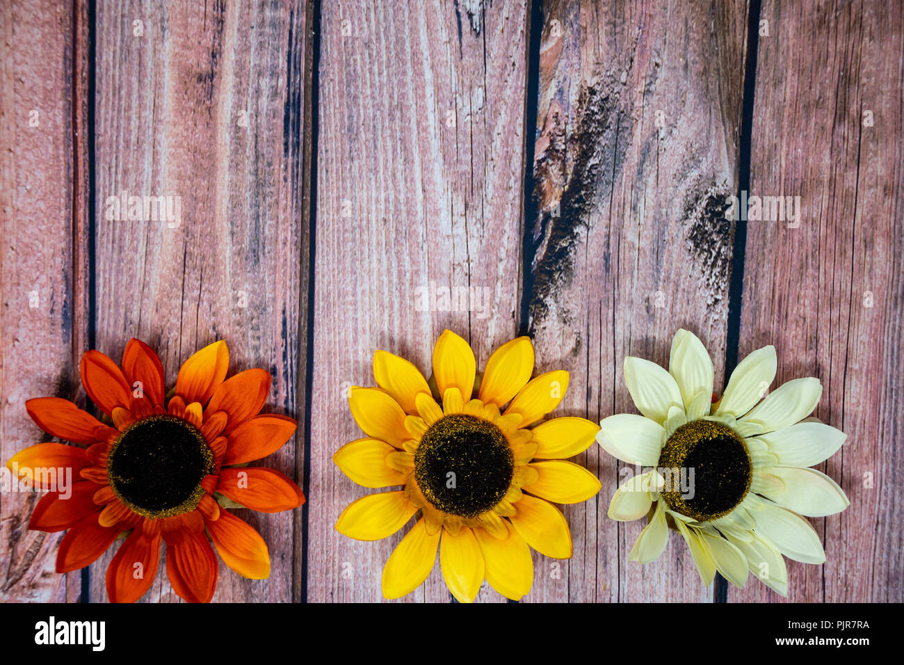 Sunflower batch hi-res stock photography and images - Alamy