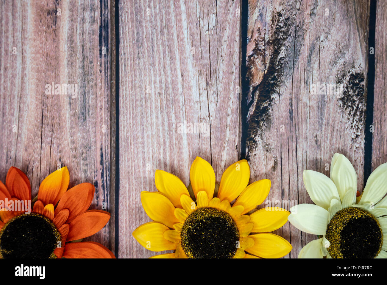 Fall sunflower hi-res stock photography and images - Alamy