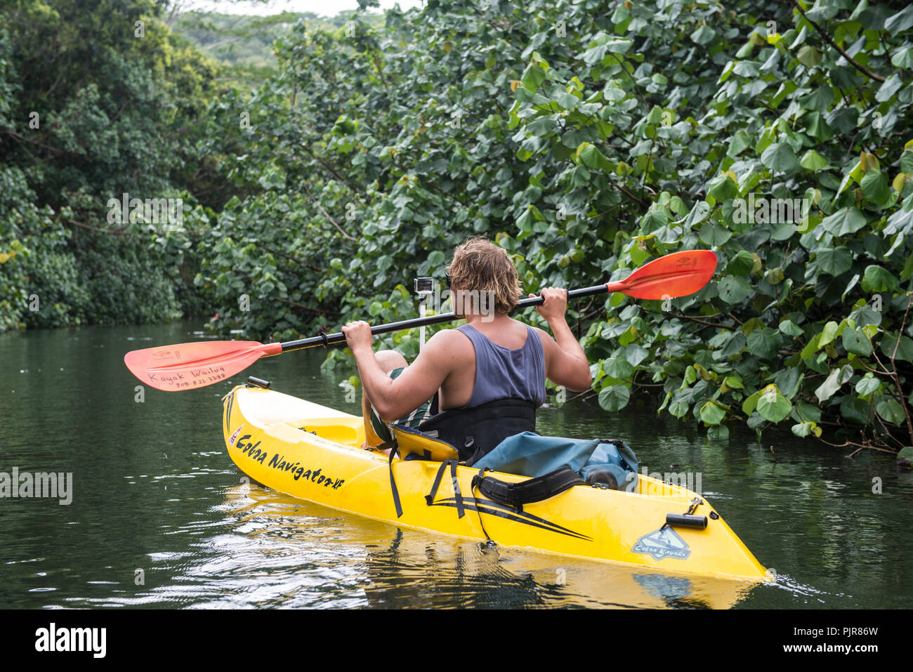 Old man with long blond hair hi-res stock photography and images - Alamy