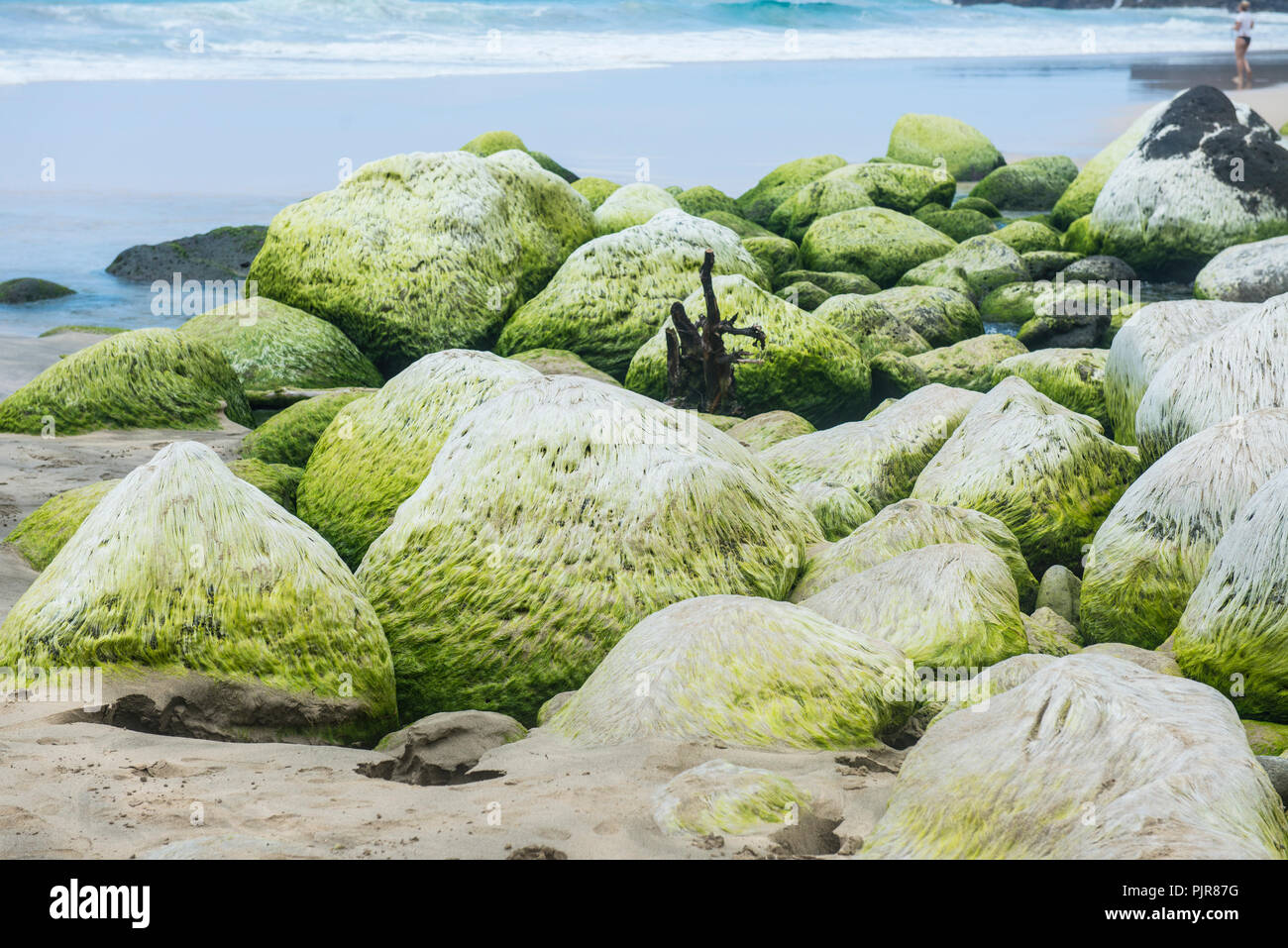 Slimy rocks hi-res stock photography and images - Alamy