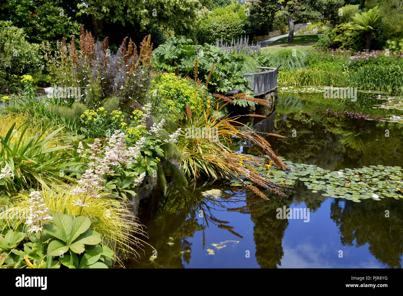 GARDEN WALK WAY AROUND POND Stock Photo - Alamy