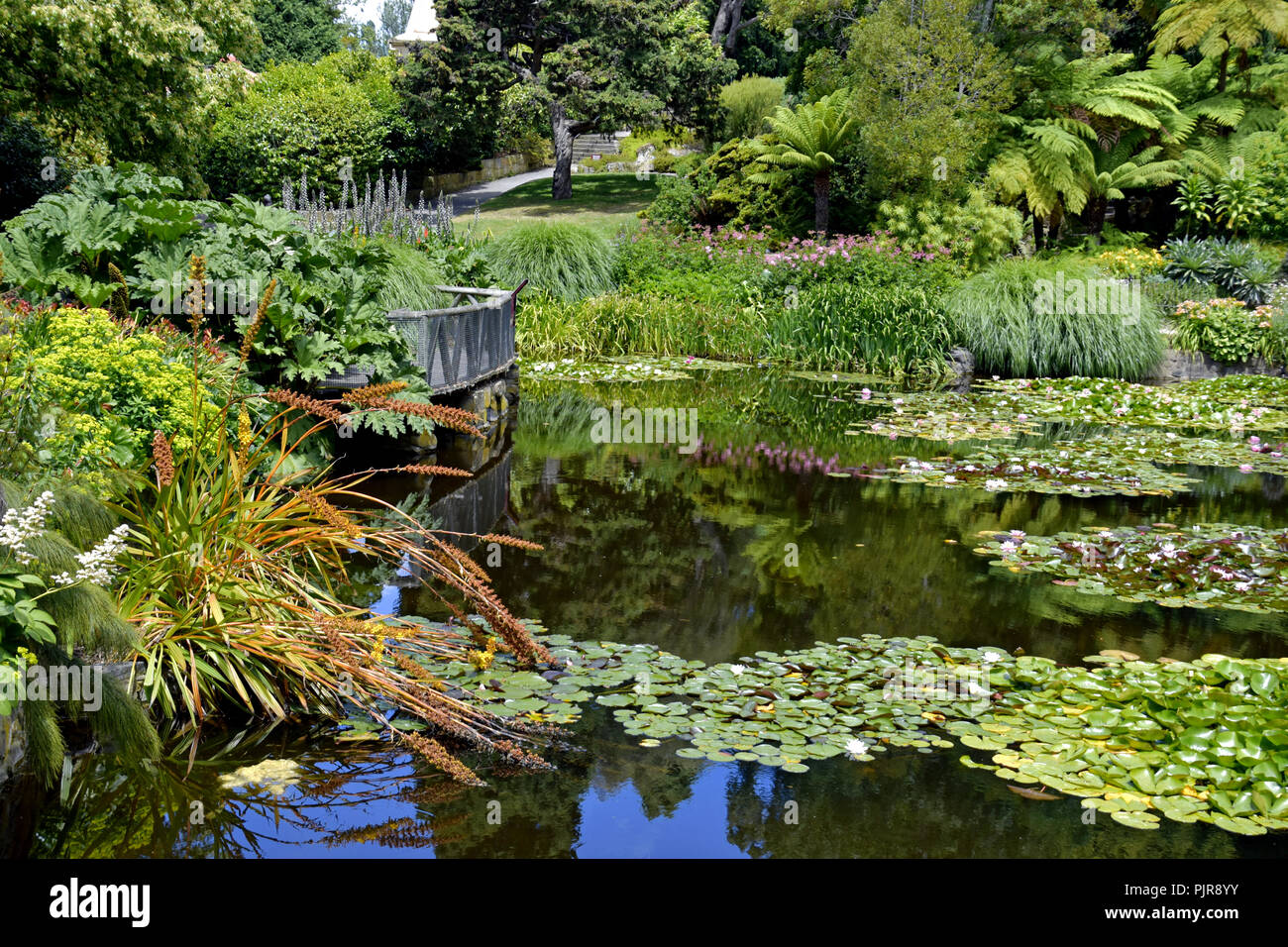 GARDEN WALK WAY AROUND POND Stock Photo - Alamy