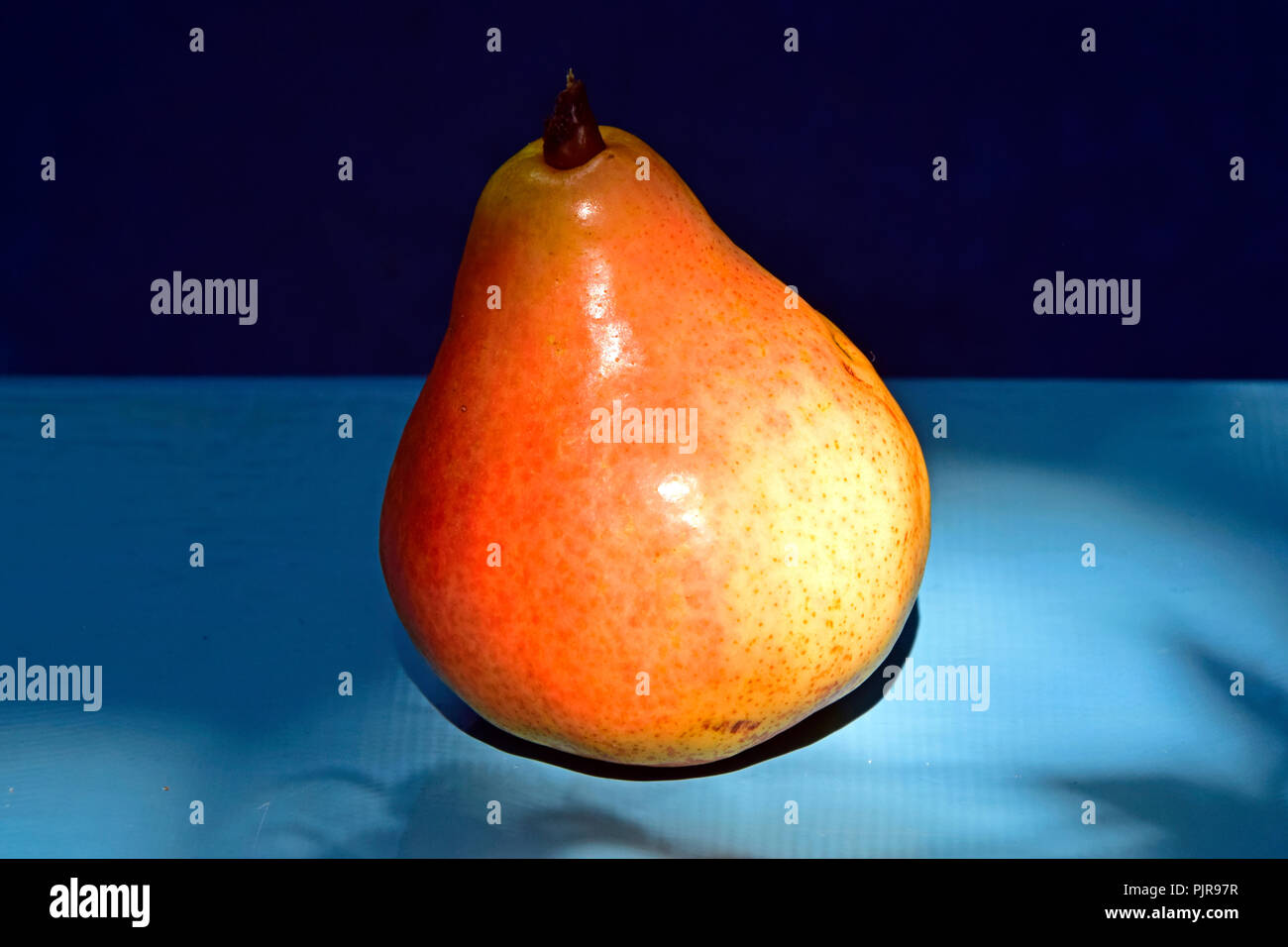 A ripe, spotted yellow-orange Bartlett pear on a turquoise blue table ...