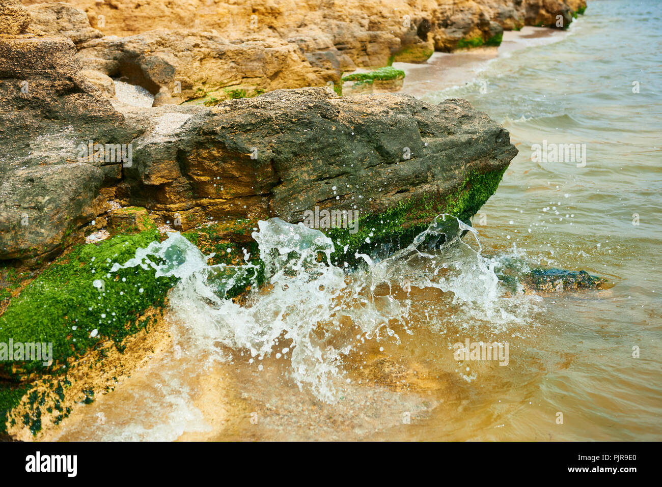 beautiful sea landscape, closeup of stone on the beach, sea coast with ...