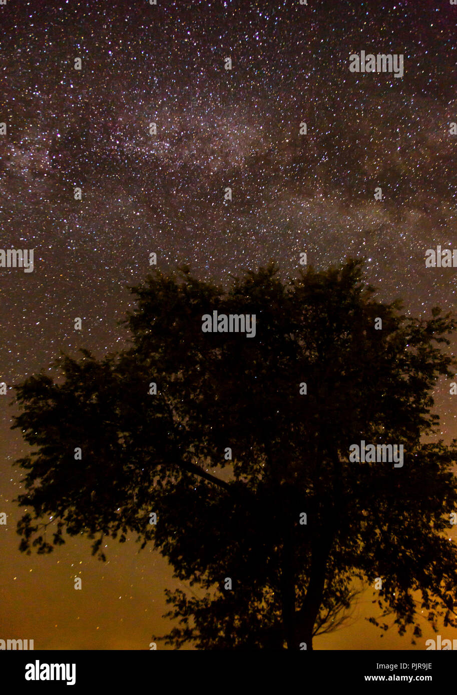 Sky at night with a tree Stock Photo - Alamy