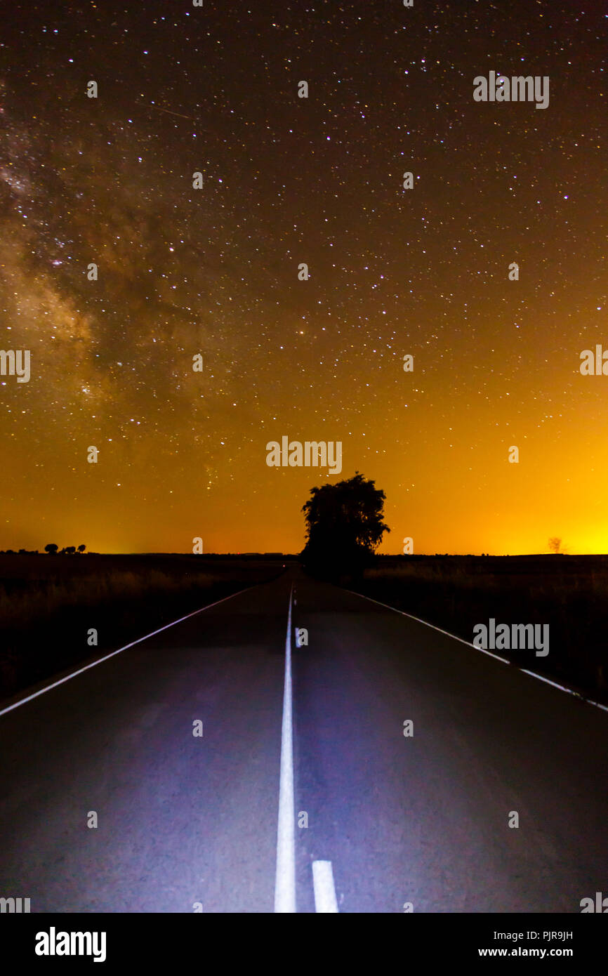 Road with a tree hi-res stock photography and images - Alamy