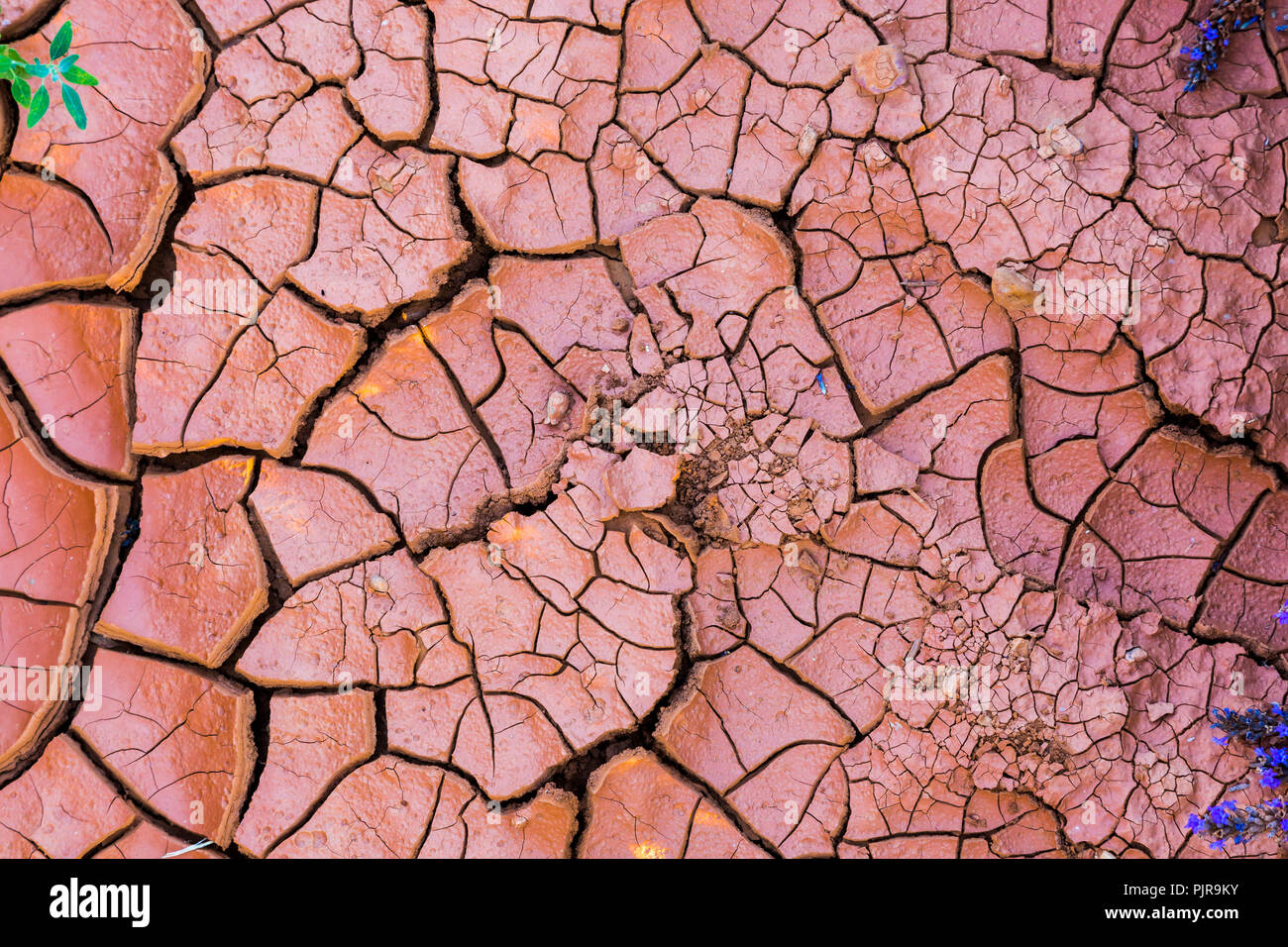 Very dry ground Stock Photo - Alamy