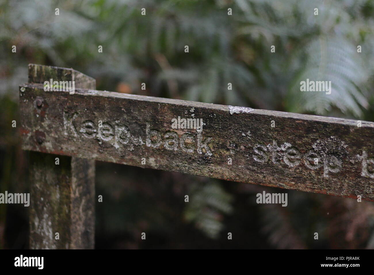 Old wooden sign Stock Photo - Alamy