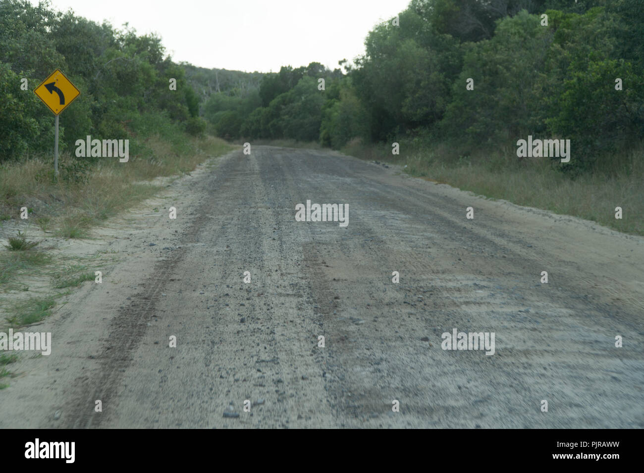 Road sign on a gravel road through the jungle of Fraser Island ...