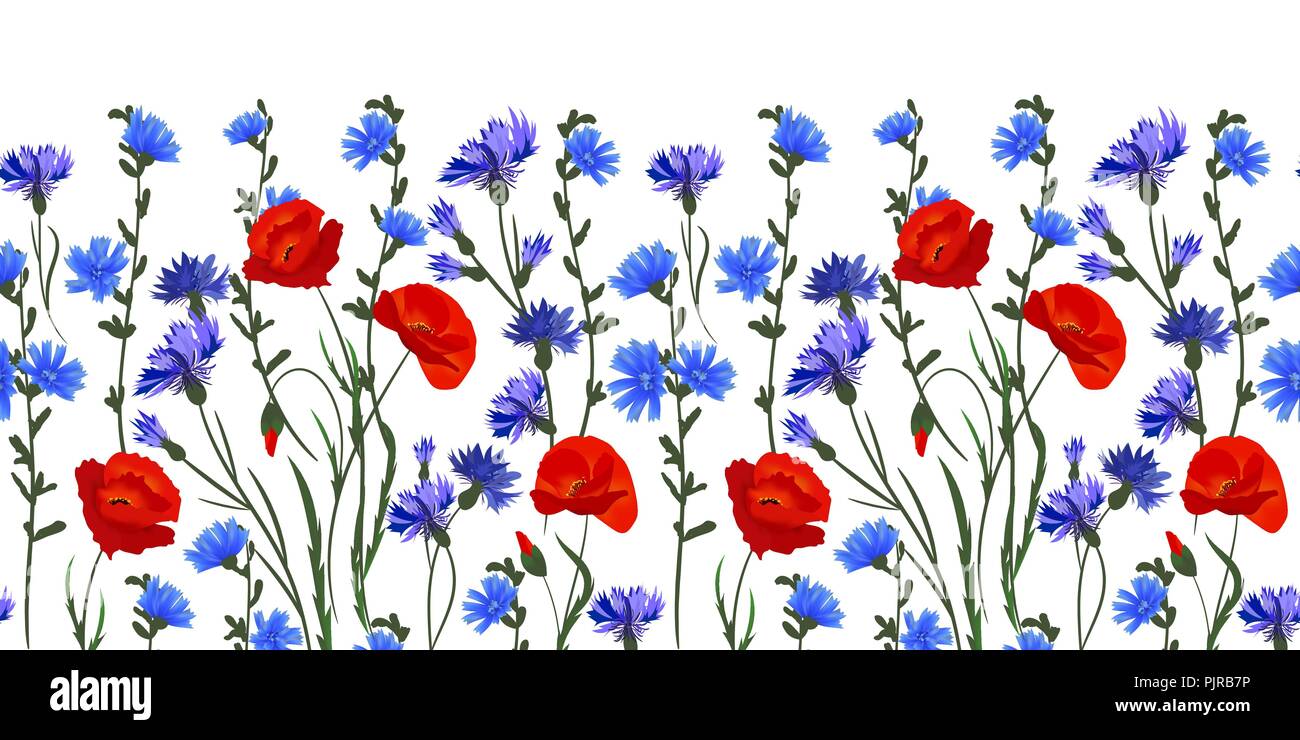 seamless rim. Border with Herbs and wild flowers, leaves. Botanical ...