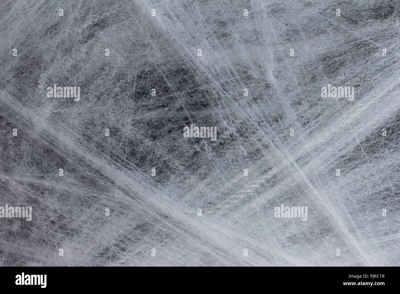 Halloween background decor holiday concept. Full frame of cobweb on ...