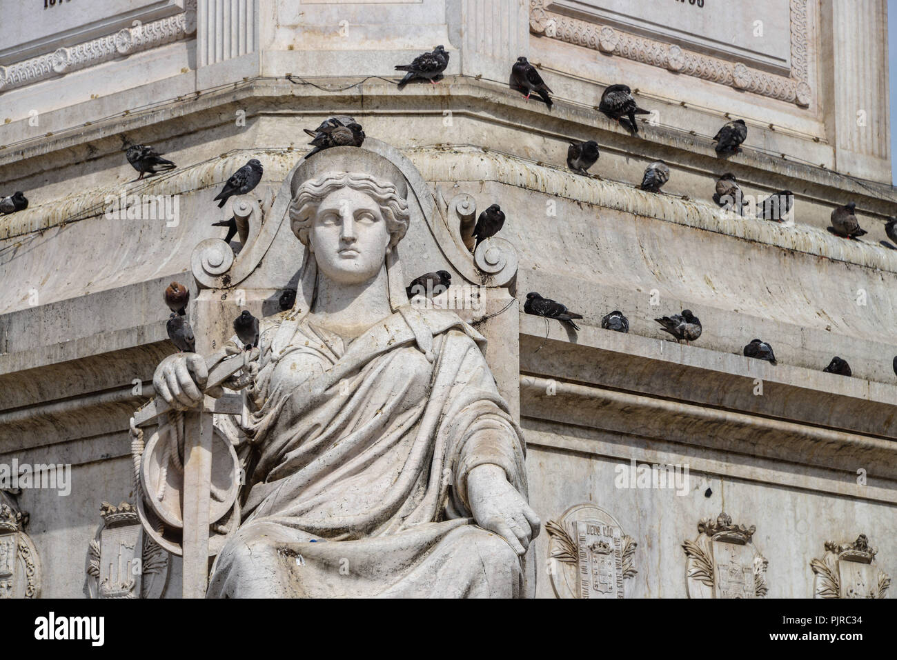 Column pigeon pigeons hi-res stock photography and images - Alamy