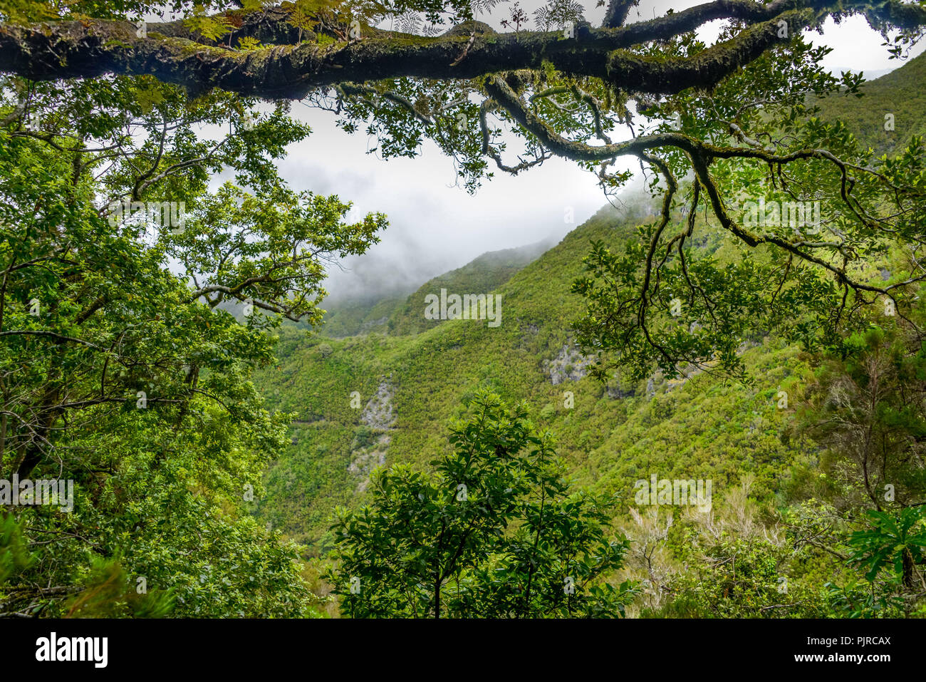Rabacal valley hi-res stock photography and images - Alamy