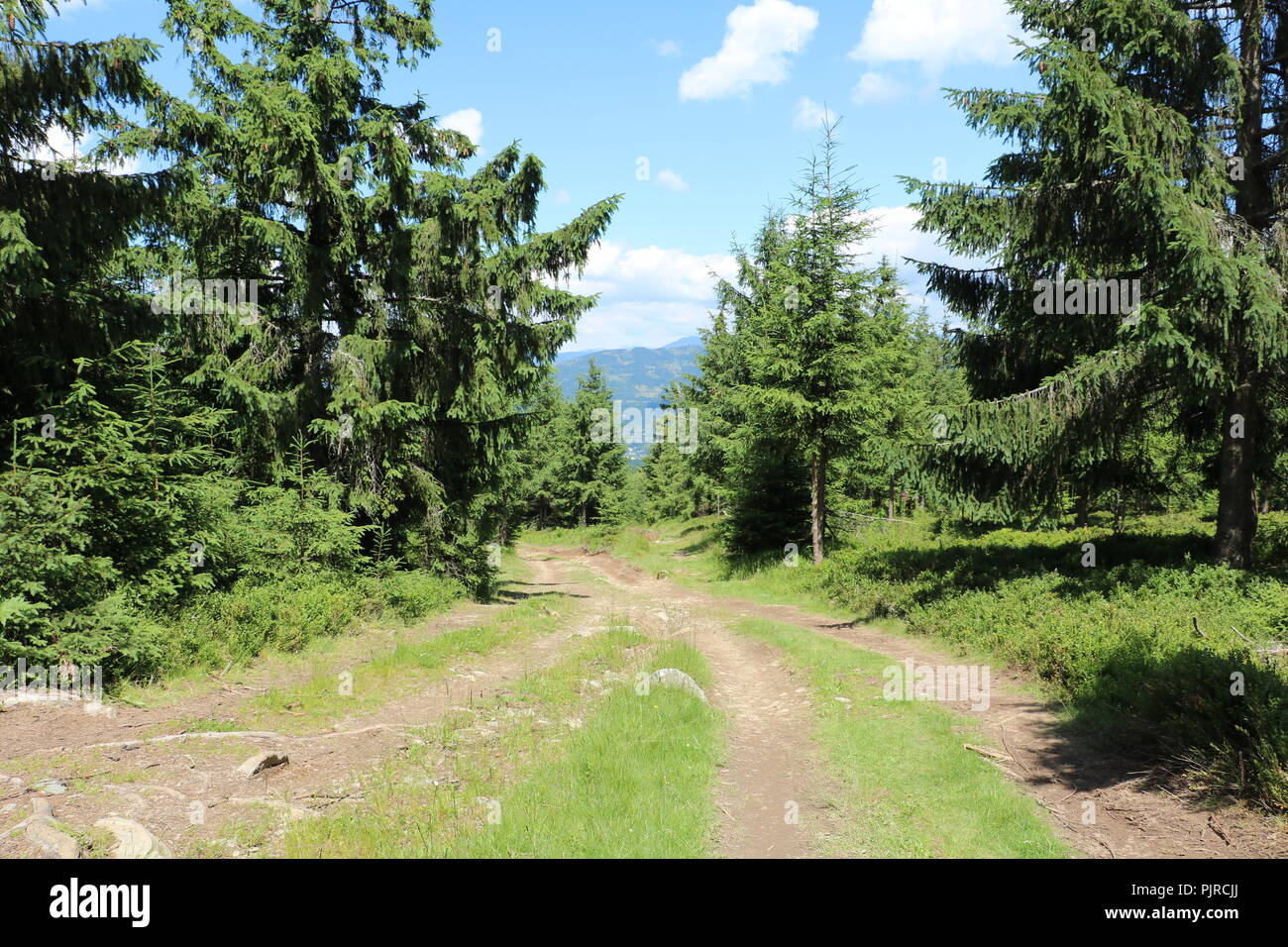 a beautiful walk through Romania a beautiful country with many ...