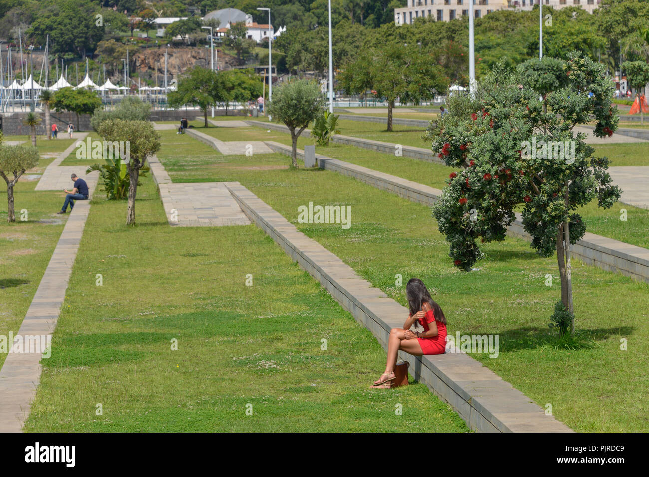 Park in the promenade, Funchal, Madeira, Portugal, Park an der ...