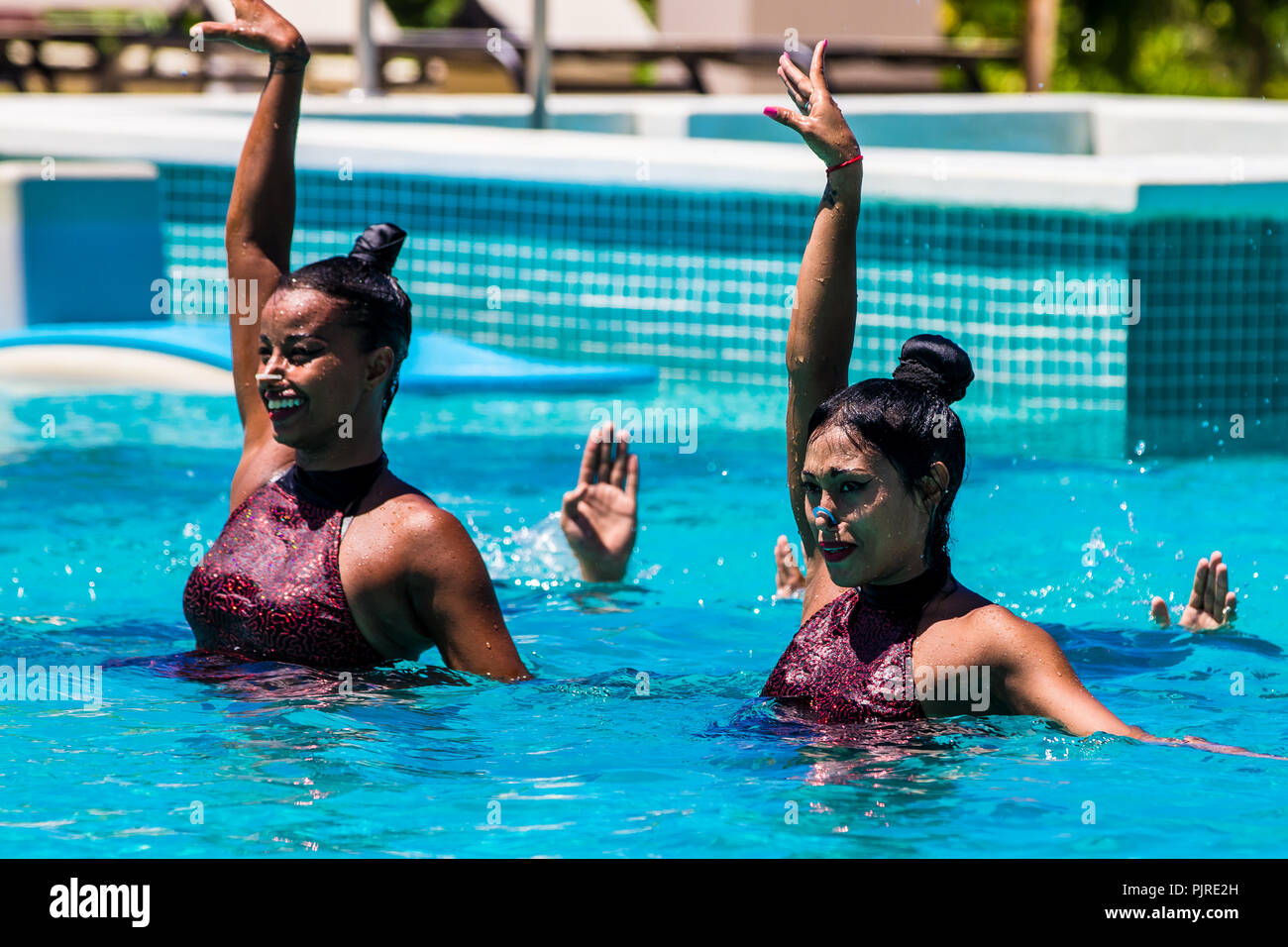 Water Acrobats Synchronized Swimmers in Jamaica Stock Photo - Alamy