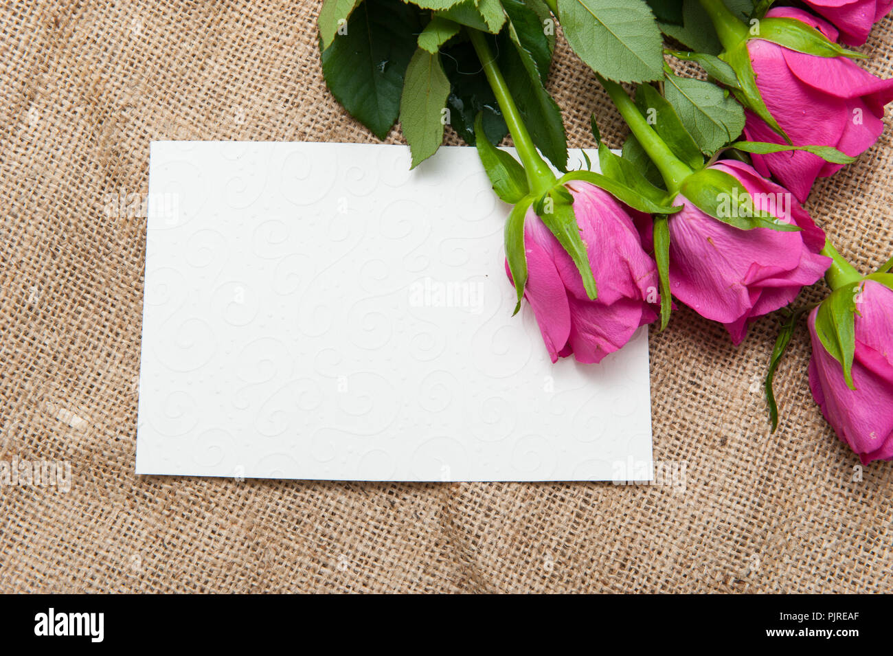 Background with pink roses and greeting card Stock Photo - Alamy