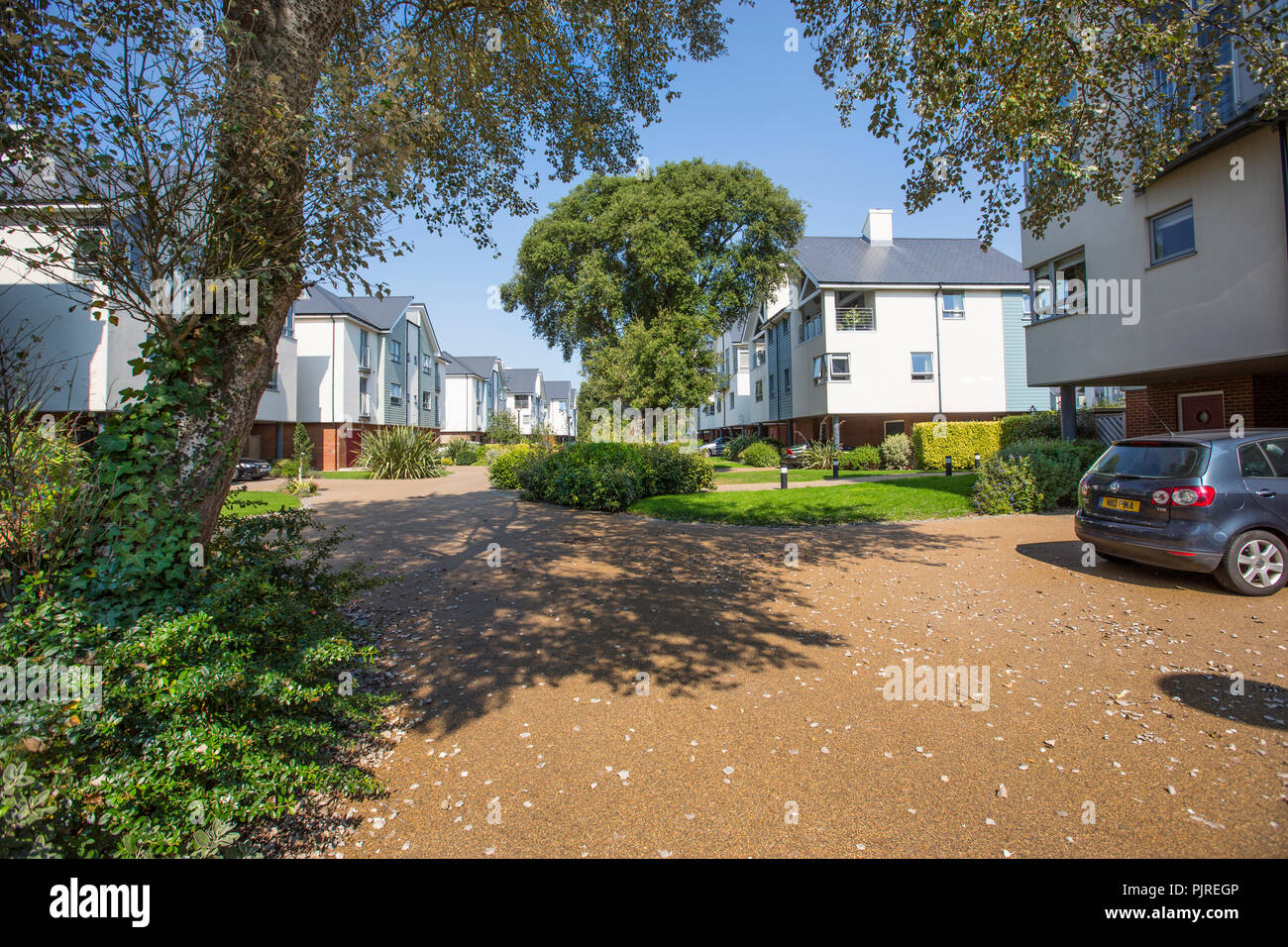 A modern housing development with mature trees Stock Photo - Alamy