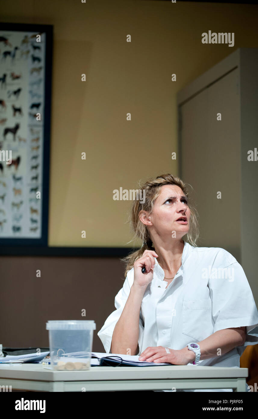 Hilda vleugels hi-res stock photography and images - Alamy