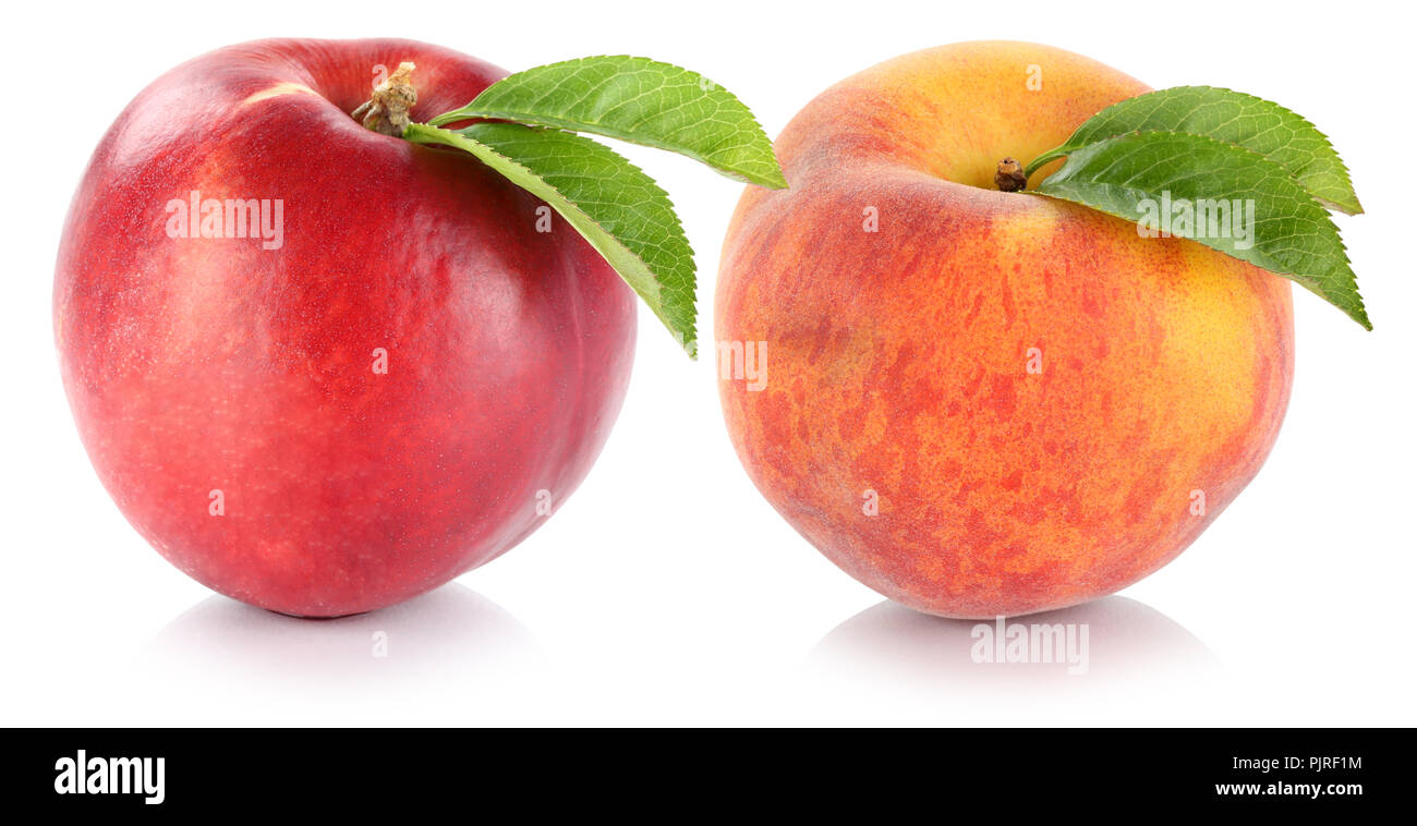 Nectarine and peach fresh fruit fruits isolated on a white background ...