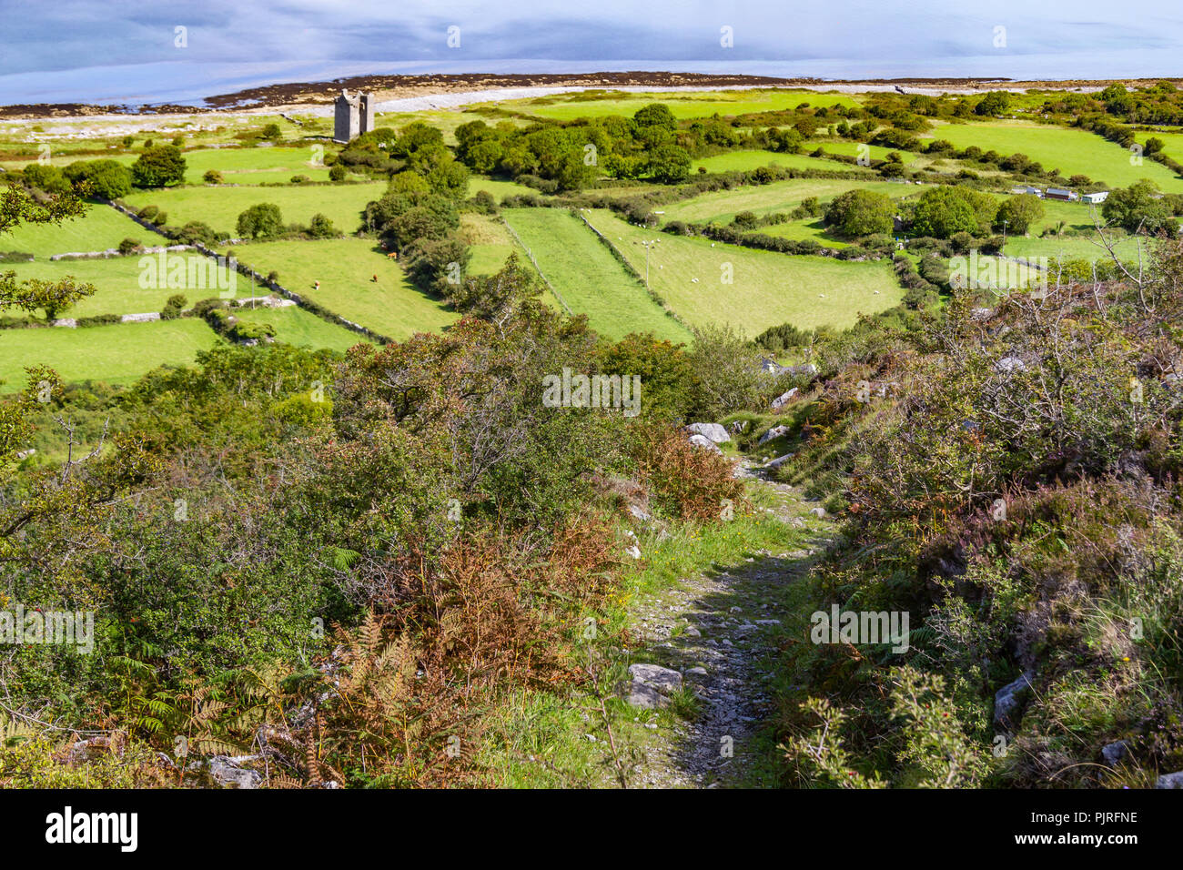 Burren way trail with old rock tower, Farm and beach in background ...