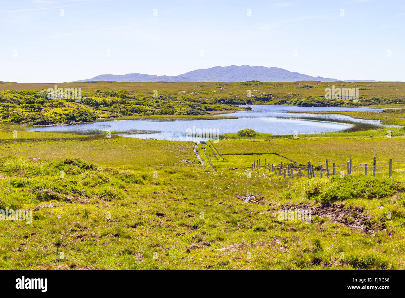 Atlantic bog mayo hi-res stock photography and images - Alamy