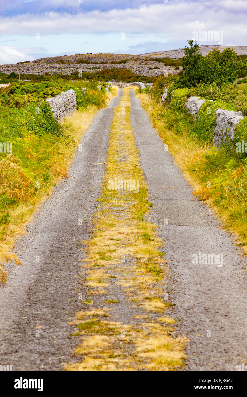 Farm road around vegetation and stone wall in Ballyvaughan, Ireland ...