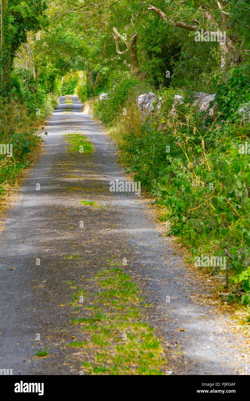 Road farm wall stone hi-res stock photography and images - Alamy