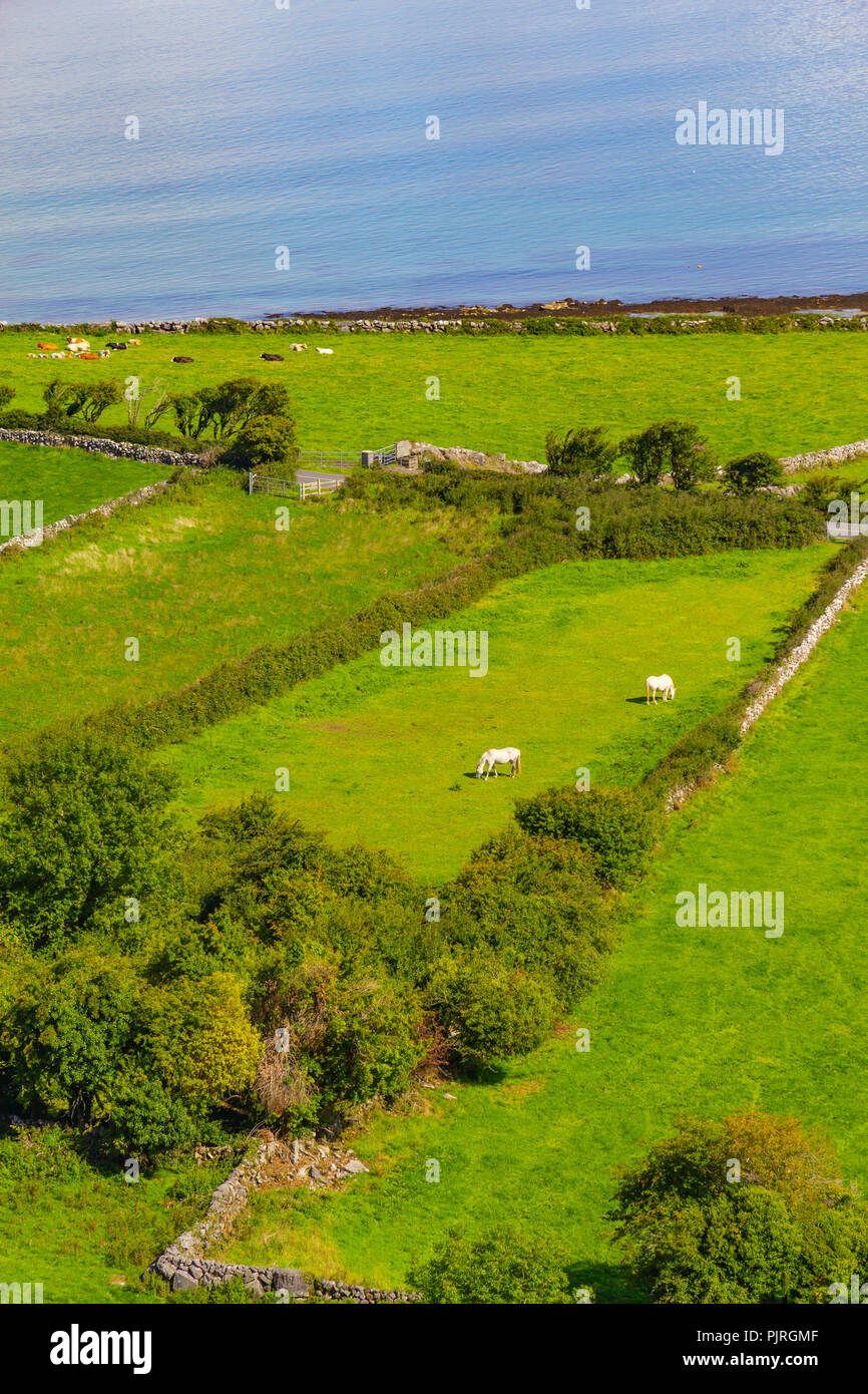 Galway bay ballyvaughan hi-res stock photography and images - Alamy