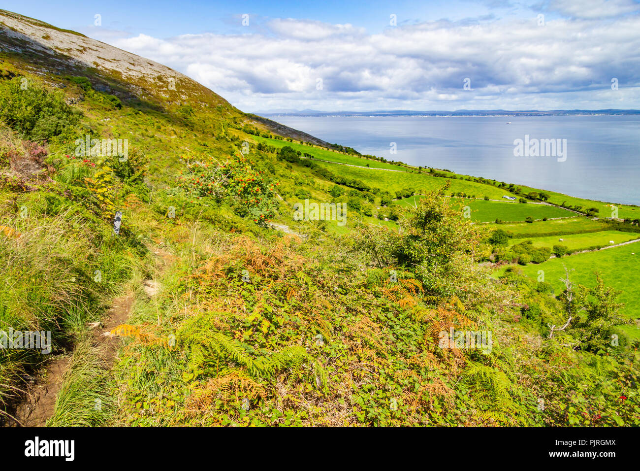 Burren way trail with Galway bay in background, Fanore, Clare, Ireland ...
