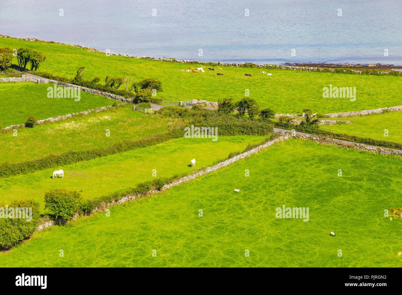 Burren way trail with Galway bay in background, Fanore, Clare, Ireland ...