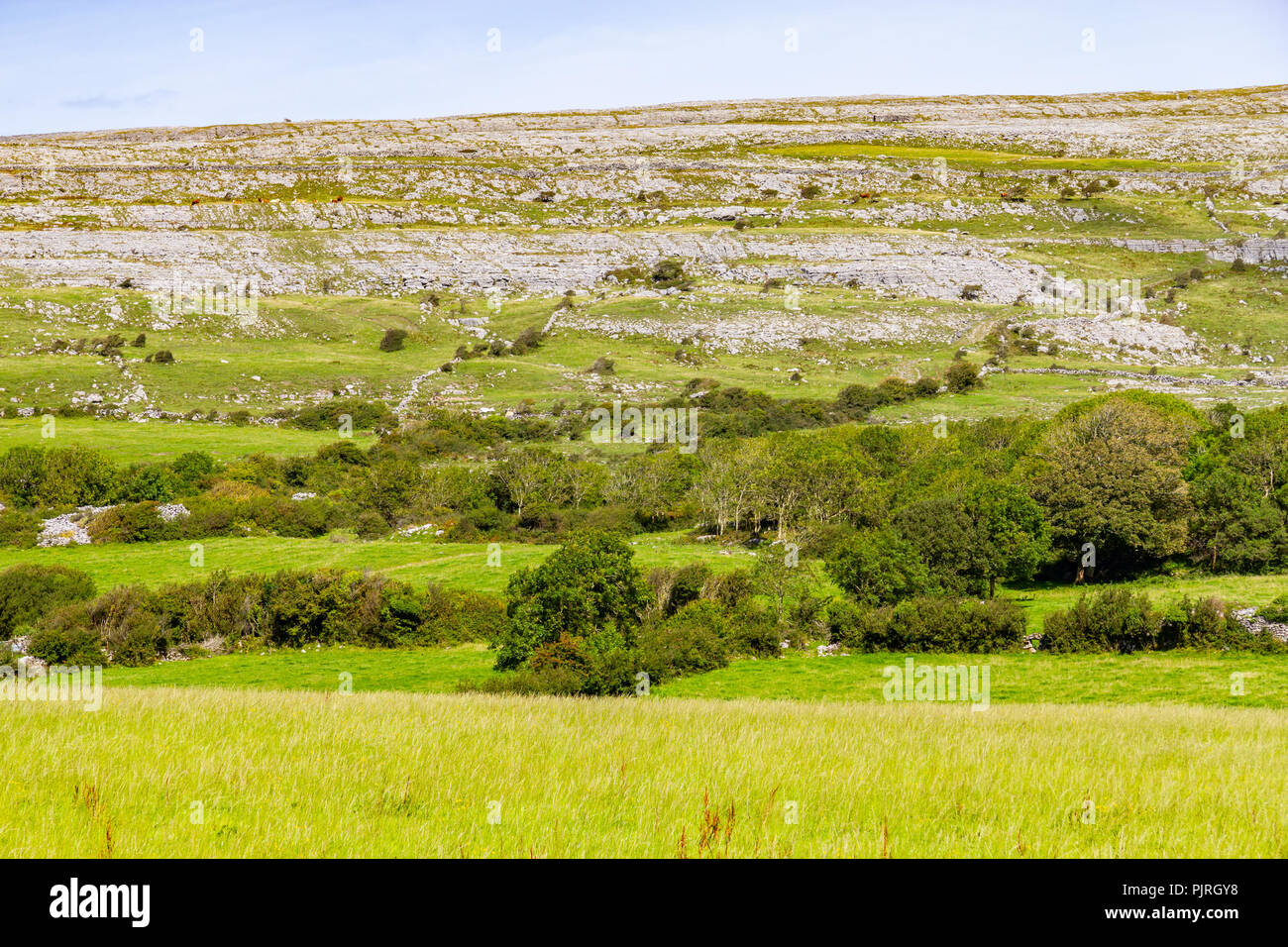 Farm field and rock mountain in Burren way trail, Ballyvaughan, Clare ...