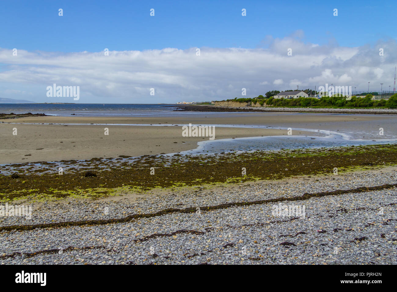 Ballyloughane Beach with houses in background, Galway, Ireland Stock ...