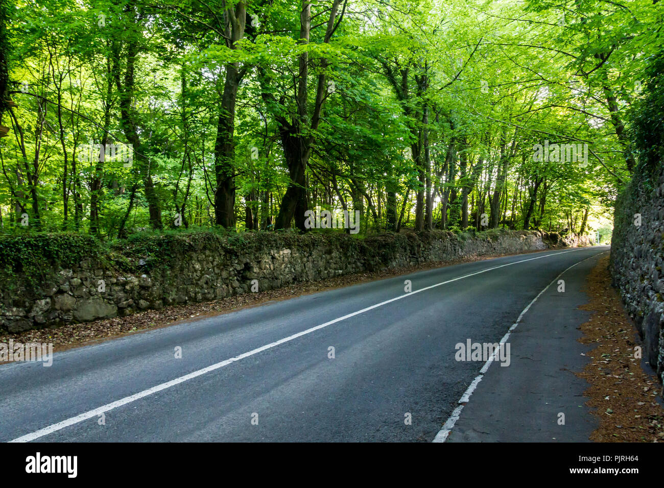Road with old rock walls, Galway, Ireland Stock Photo - Alamy