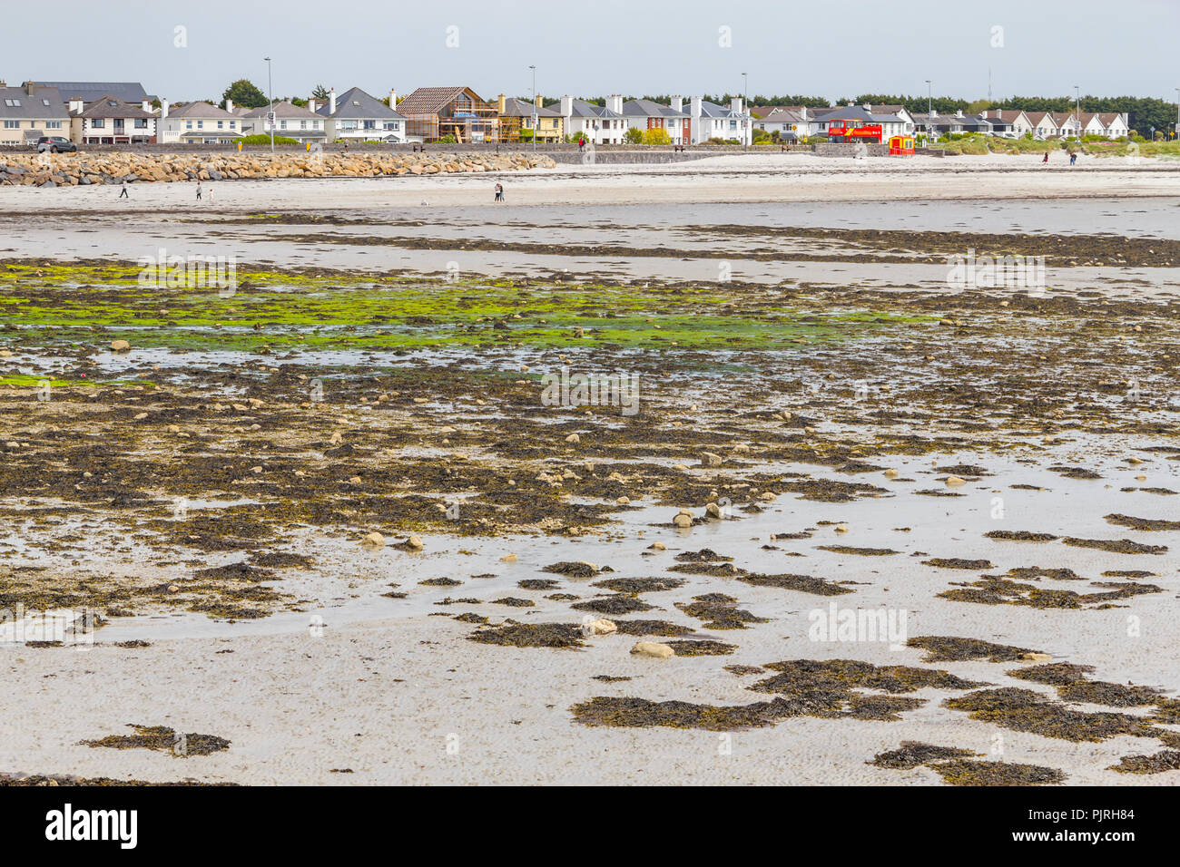 Salthill beach and buildings, Galway, Ireland Stock Photo - Alamy