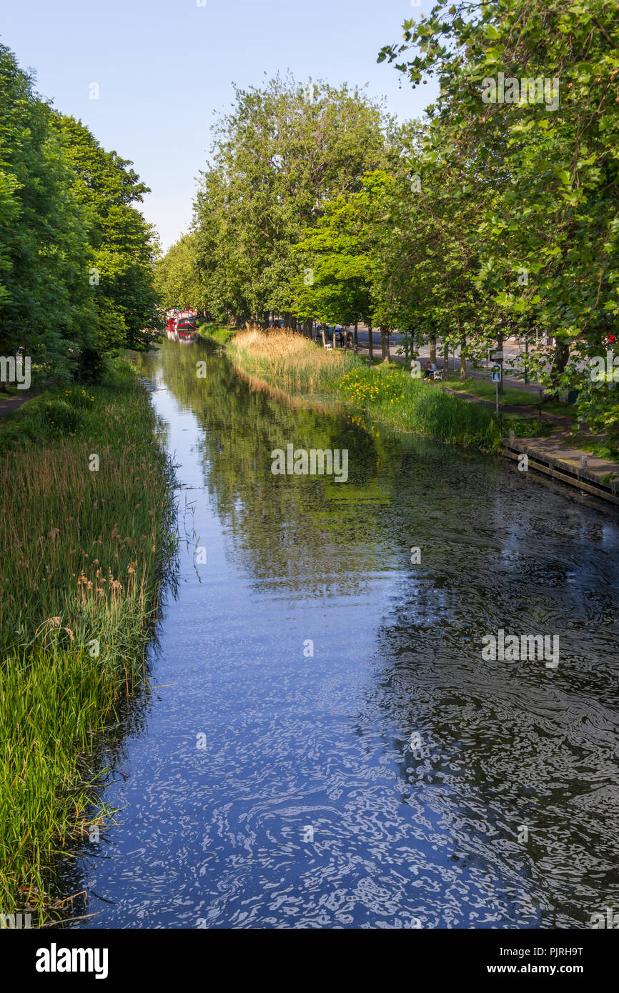 Water Channel with trees and reflection in Dublin, Ireland Stock Photo ...