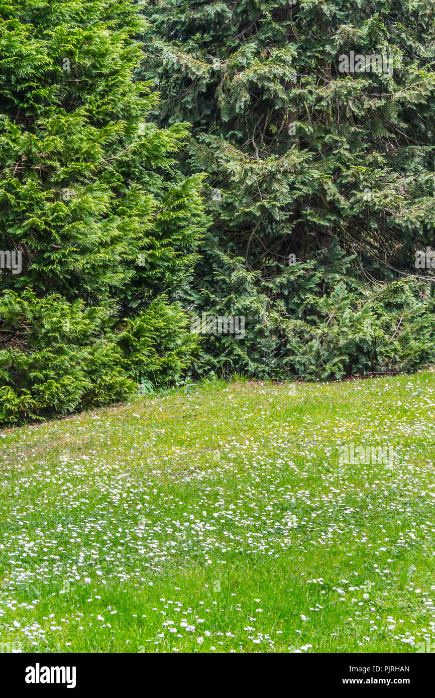 Trees and grass in Botanic Garden, Dublin, Ireland Stock Photo - Alamy