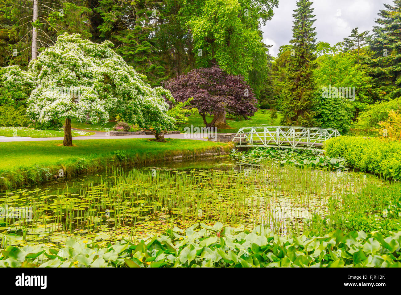 Dublin bridge path hi-res stock photography and images - Alamy