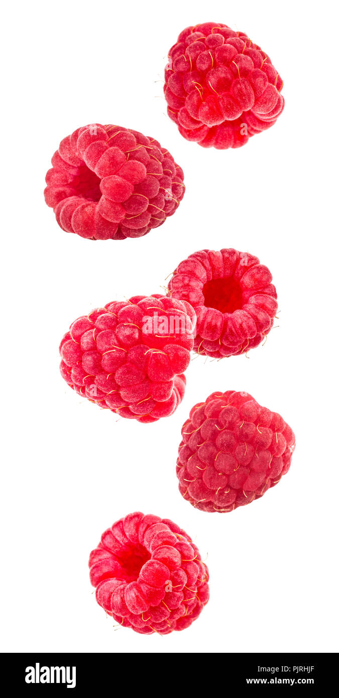 Falling raspberries isolated on hi-res stock photography and images - Alamy