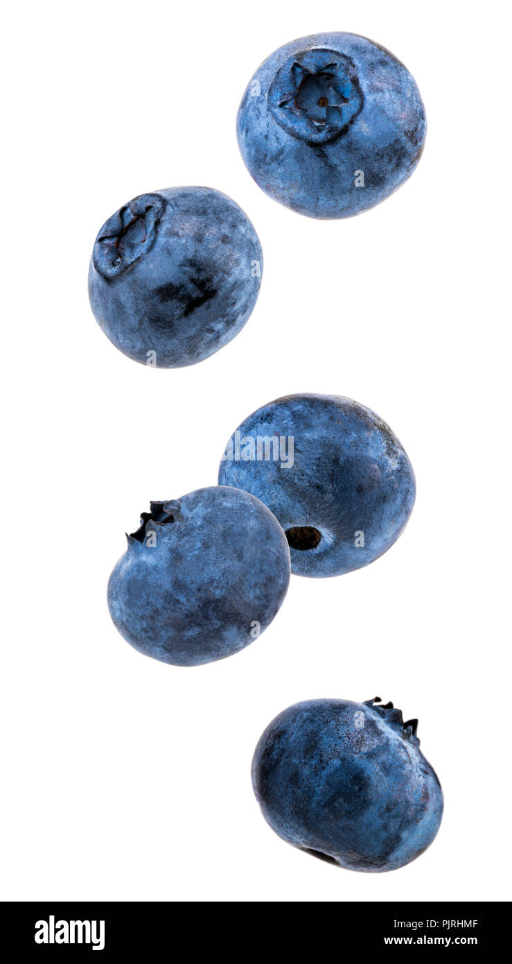 Falling blueberries isolated on a white background Stock Photo - Alamy