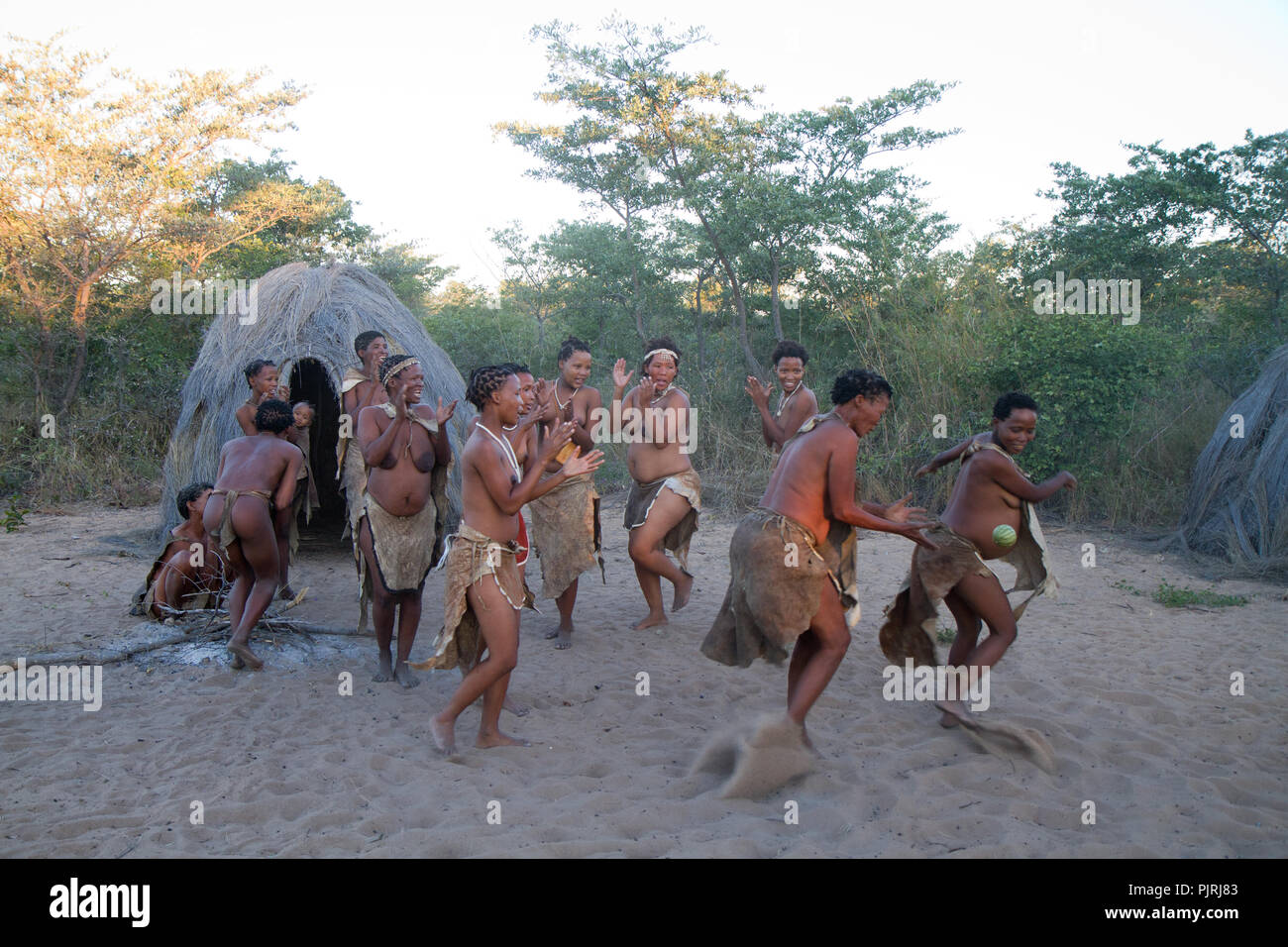 life in a san village in namibia, africa Stock Photo - Alamy