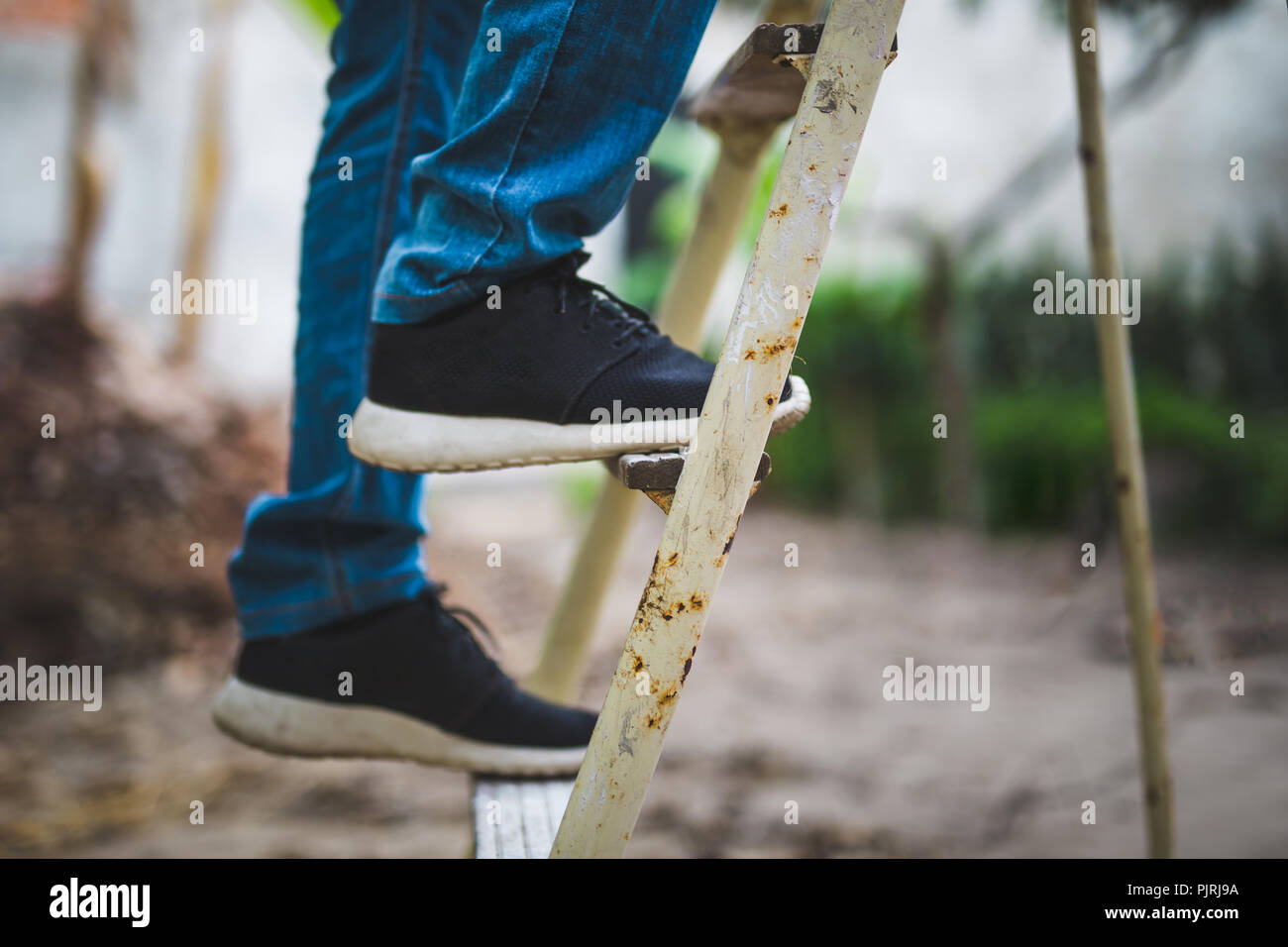 Stepping ladder hi-res stock photography and images - Alamy