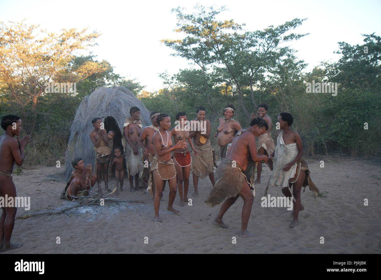 life in a san village in namibia, africa Stock Photo - Alamy