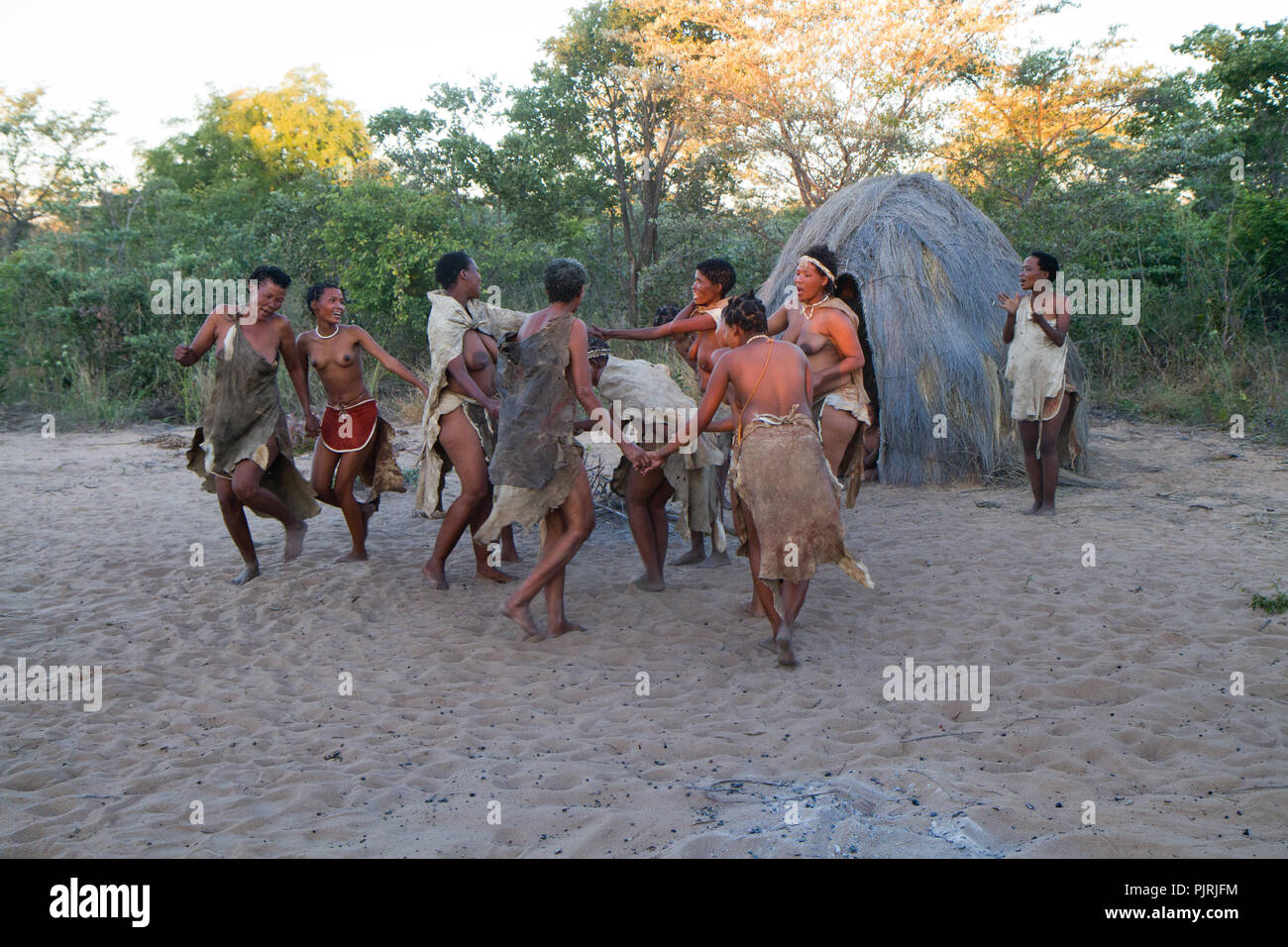 San people hut hi-res stock photography and images - Alamy