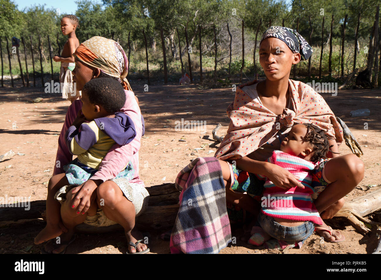 life in a san village in namibia, africa Stock Photo - Alamy