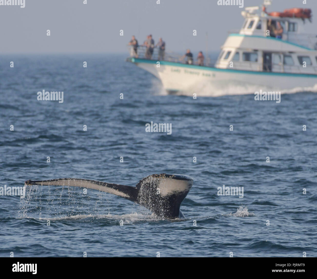 Full flip hi-res stock photography and images - Alamy