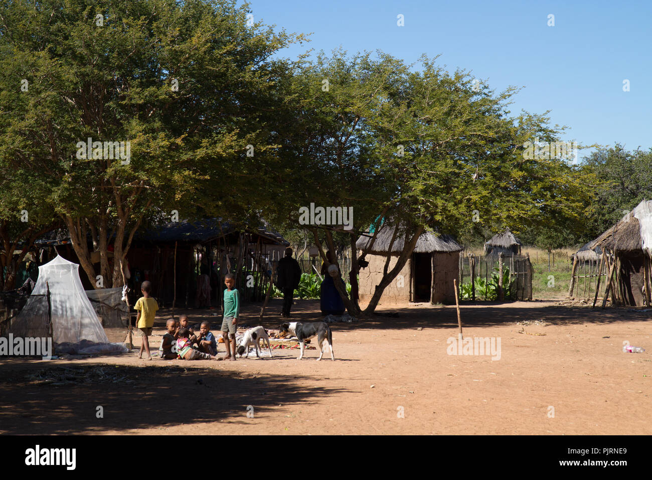 life in a san village in namibia, africa Stock Photo - Alamy