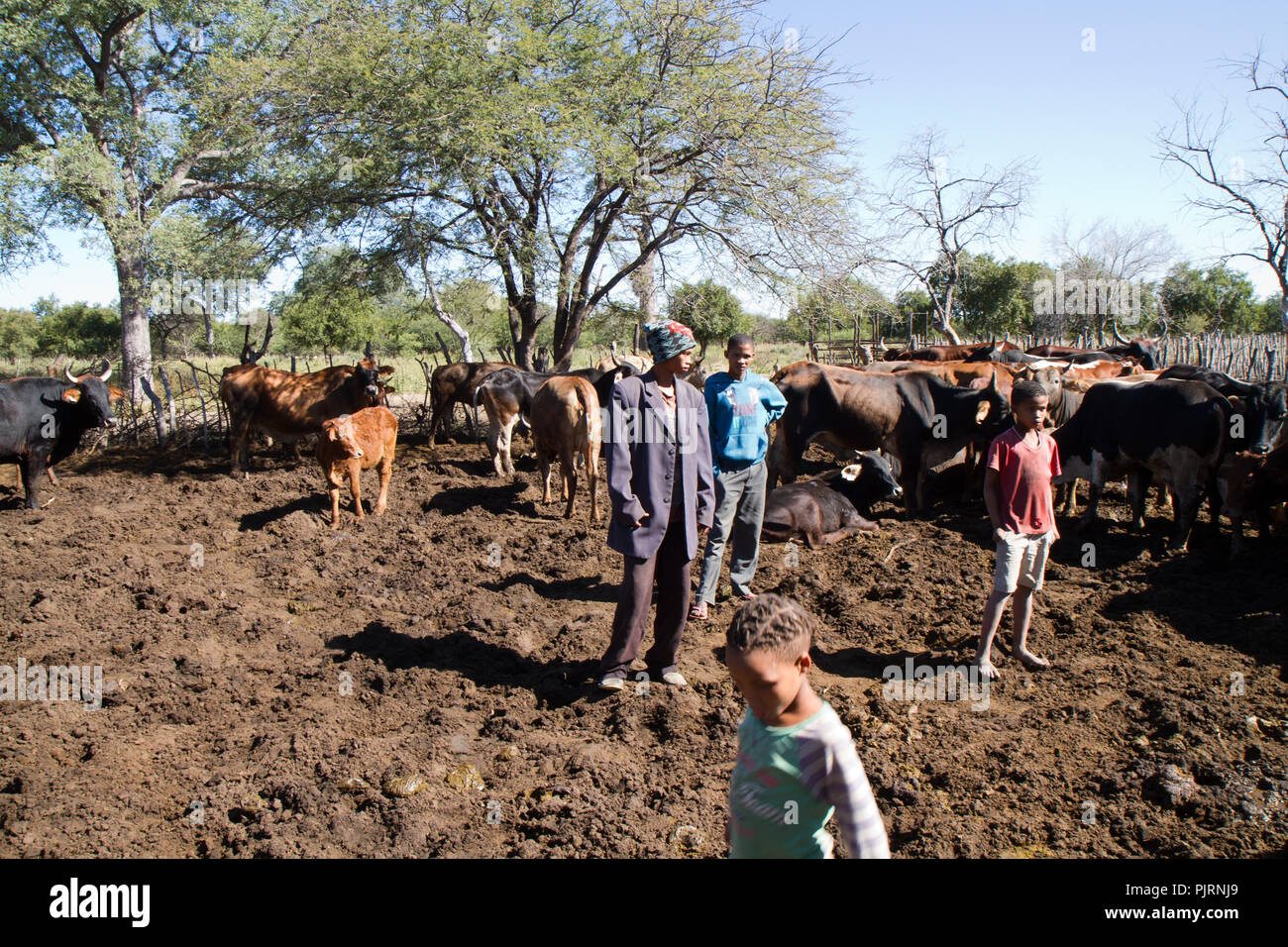 life in a san village in namibia, africa Stock Photo - Alamy